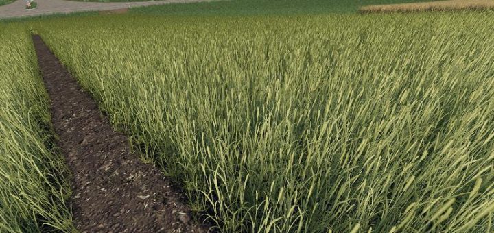 Farming Simulator 19 Textures mods | FS19 Textures mods download