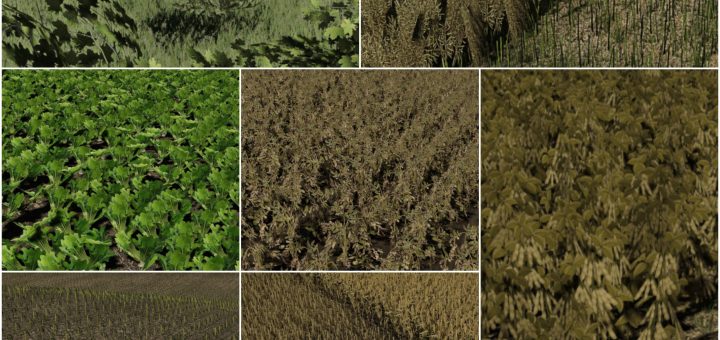 Farming Simulator 19 Textures mods | FS19 Textures mods download