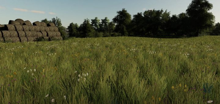 Farming Simulator 19 Textures mods | FS19 Textures mods download