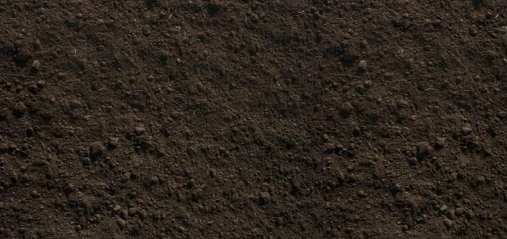 Farming Simulator 19 Textures mods | FS19 Textures mods download