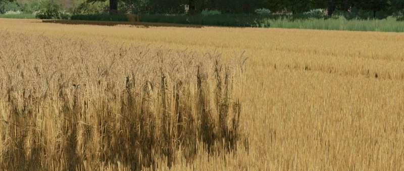 Real plant textures v1.0 - FS22 Mod Download