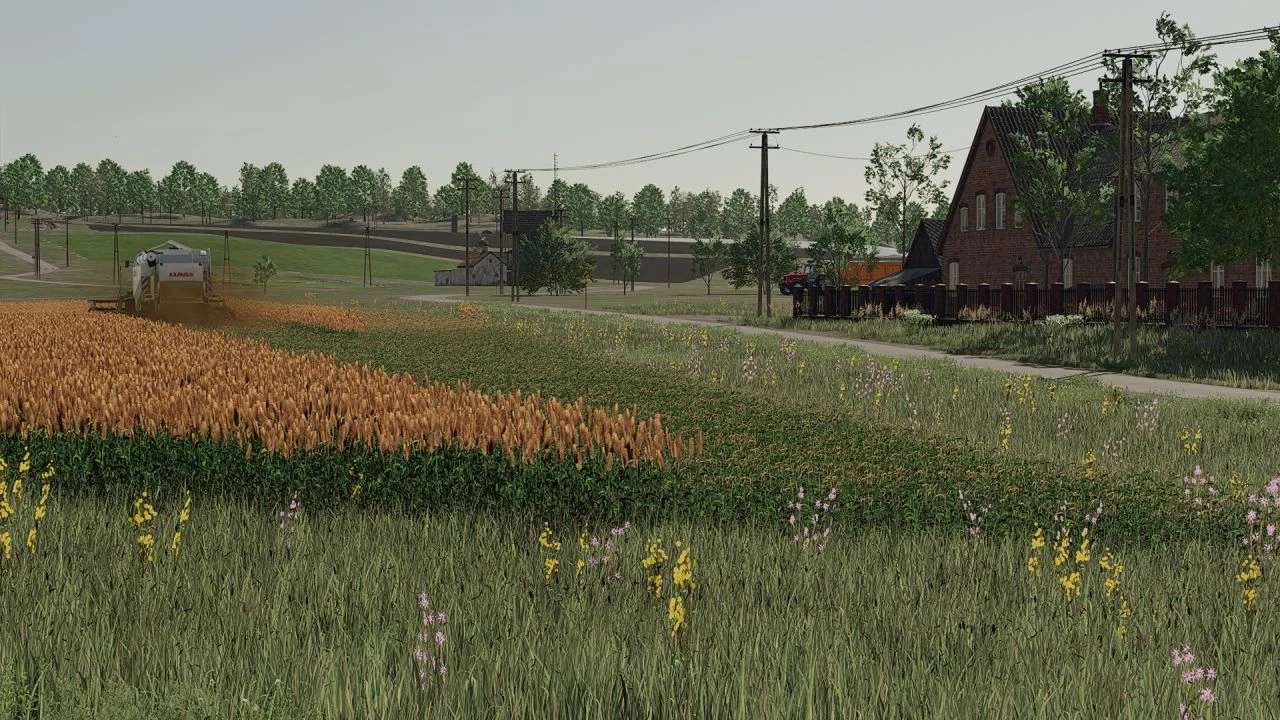 New sorghum texture ready for harvest v1.0 - FS22 Mod Download