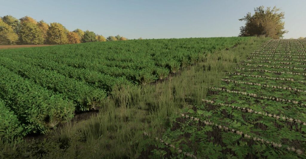 Topping Vegetables v1.0 - FS22 Mod Download