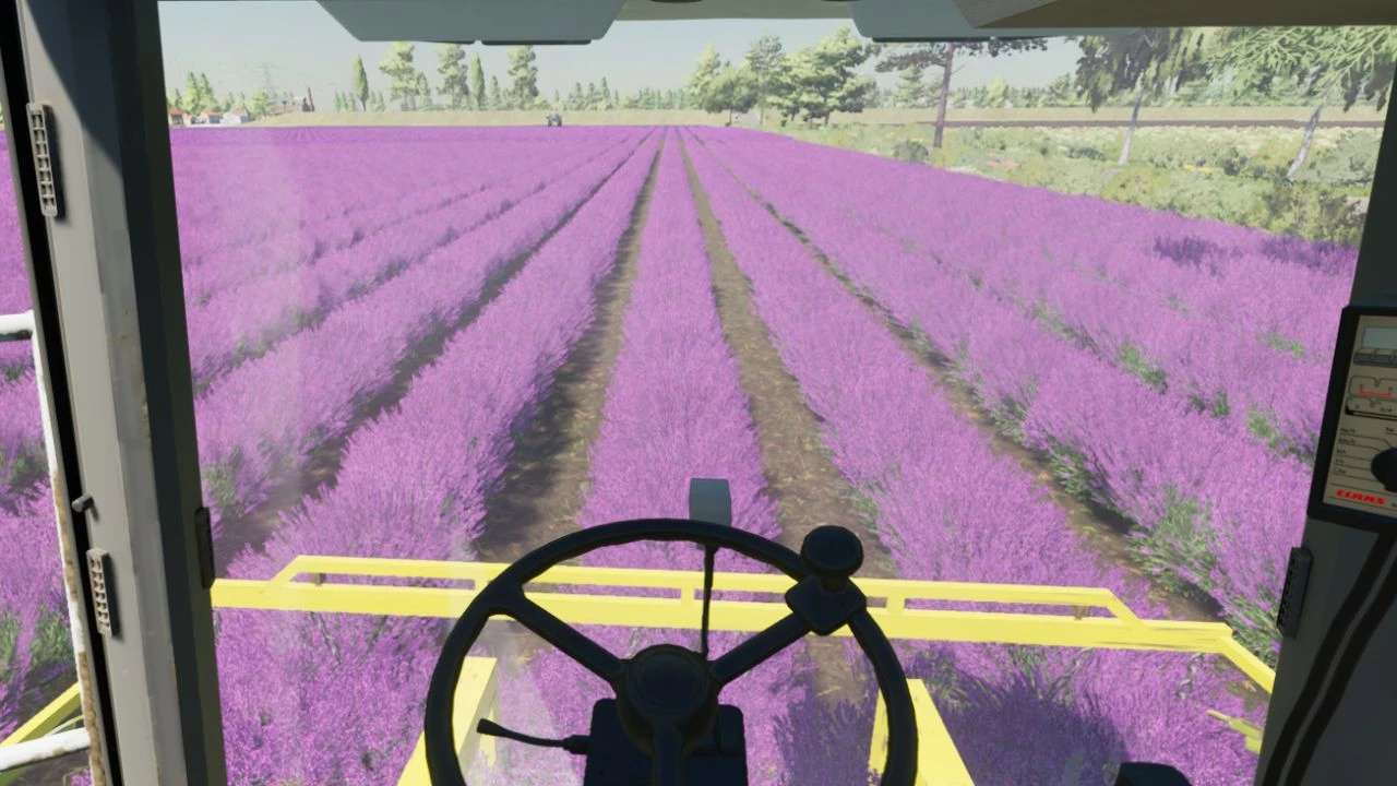 Lavender in Rows v1.0 - FS22 Mod Download