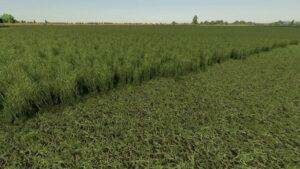 Grass Texture v1.0.0.1 - FS22 Mod Download