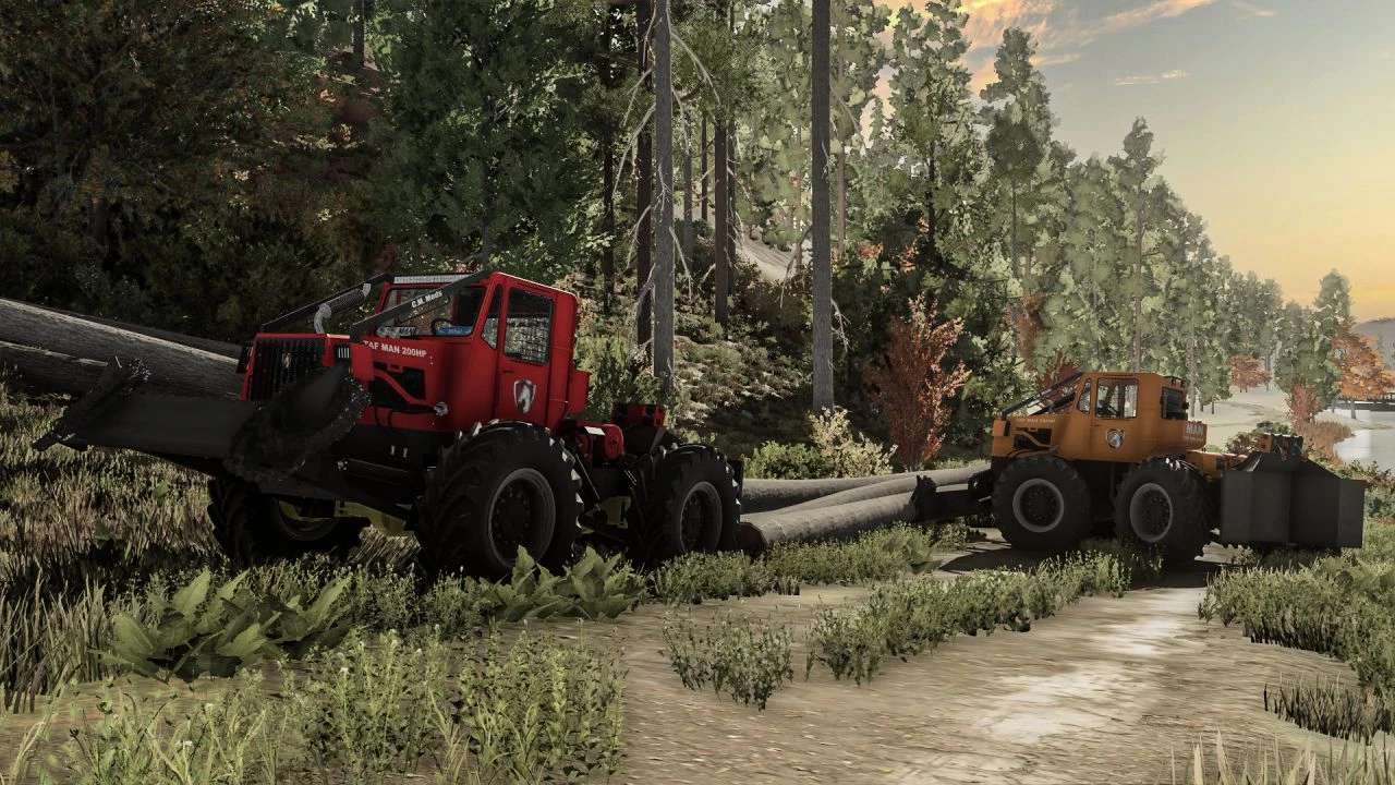 TAF MAN 264-200 v1.0 - FS22 Mod Download