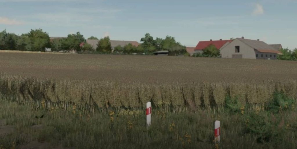Canola v1.0 - FS22 Mod Download